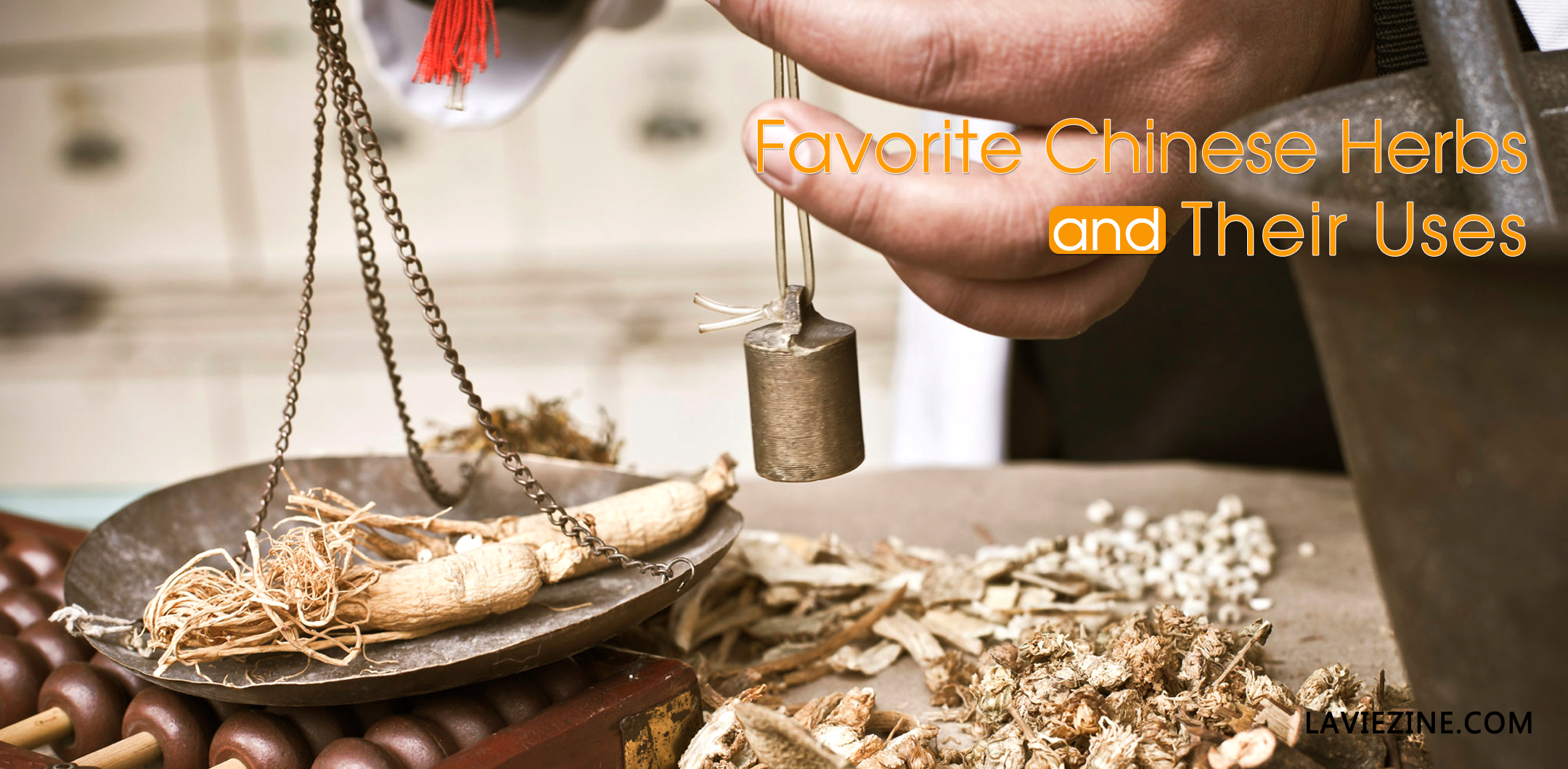 Favorite Chinese Herbs and Their Uses - La Vie Zine
