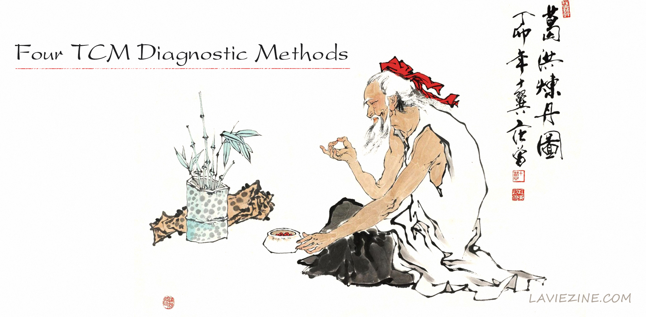 Four TCM Diagnostic Methods La Vie Zine four-tcm-diagnostic-methods-la-vie-zine