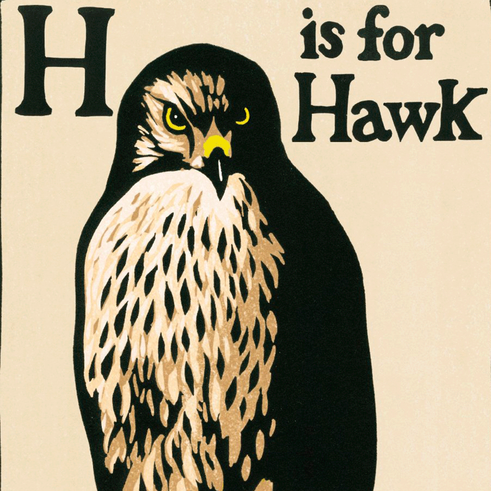 The 8 Best Nonfiction Books of 2015 - La Vie Zine