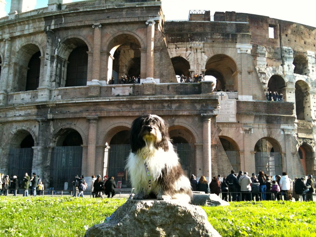 The Top 8 Pet-Friendly Vacation Destinations in Europe - La Vie Zine