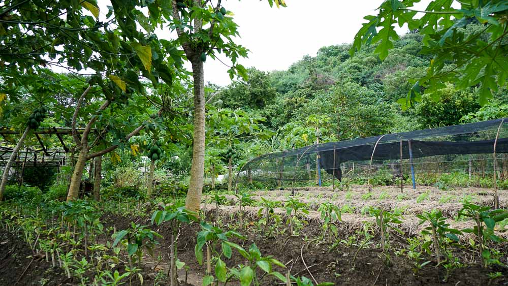 Sailing in Paradise: Tao Philippines Expedition – the real community ...