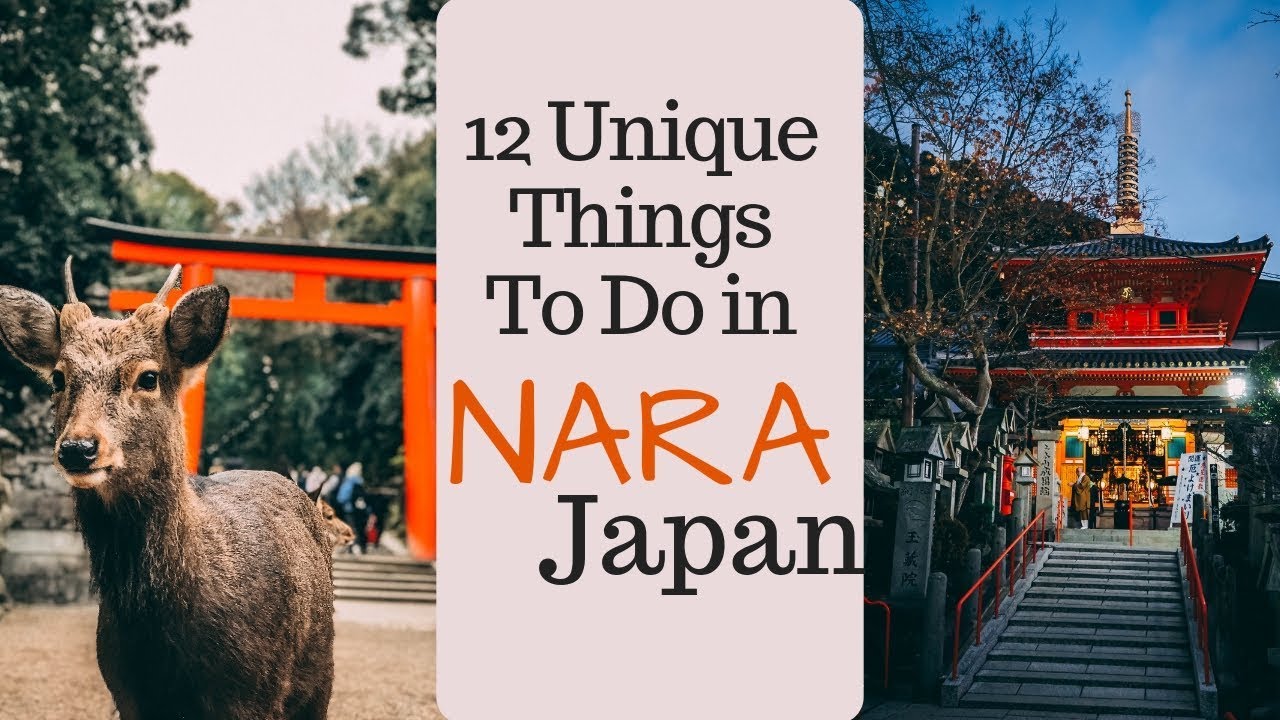 NARA JAPAN TRAVEL GUIDE // 12 UNIQUE Things To Do in Nara - La Vie Zine
