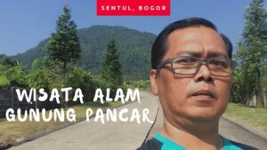 Vacation Days Goes To Taman Wisata Alam Hutan Pinus Gunung Pancar ...