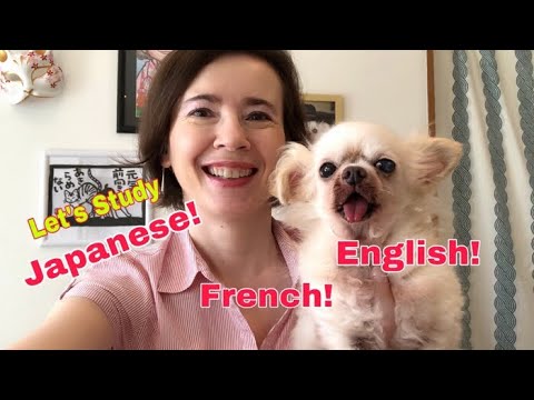 Easy Japanese | French | English Lessons for Travel! #1 - La Vie Zine