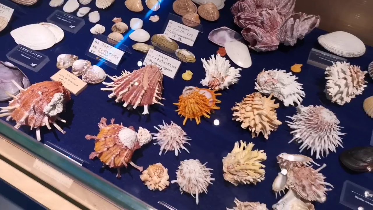 Kouri Ocean Tower Okinawa | Travel to Japan - La Vie Zine