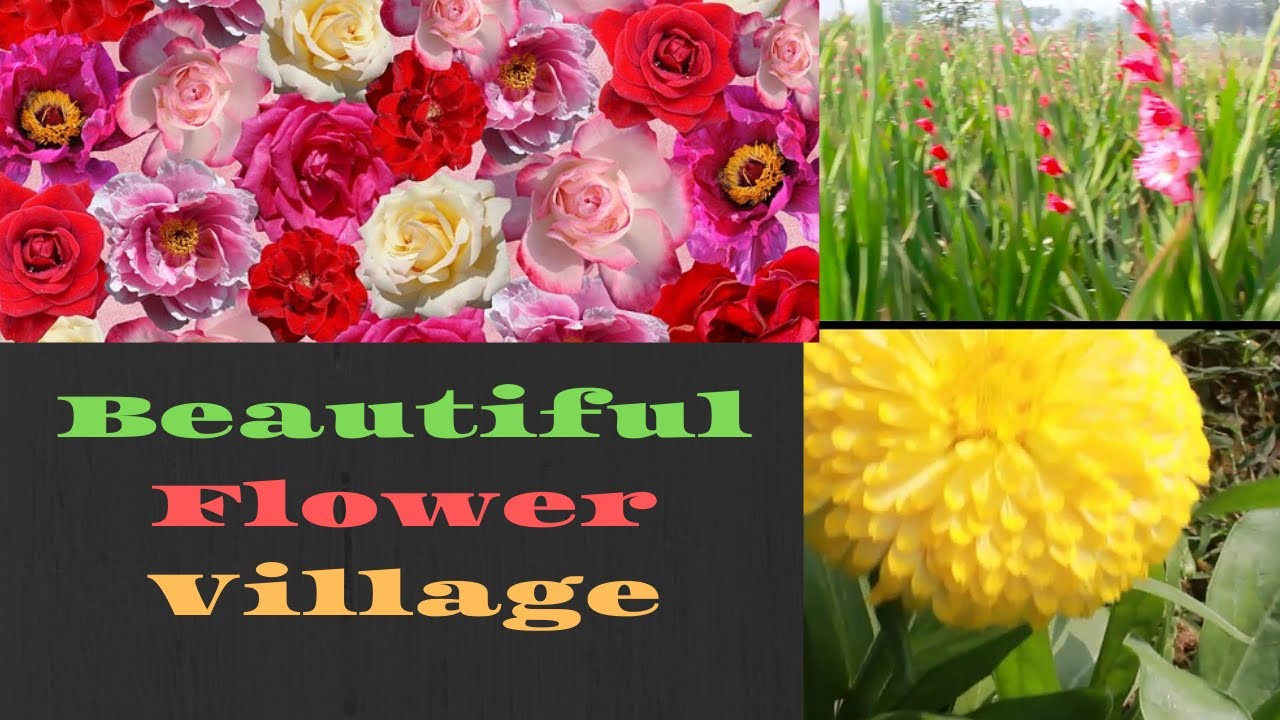 Flower Village in Savar, Journey by boat 2020 - La Vie Zine