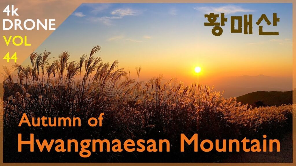 4K Drone | Autumn of Hwangmaesan Mountain | Korea | 한국 100대 명산 | 황매산의 ...