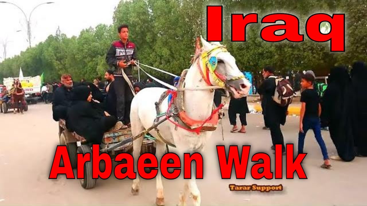 Traveling Iraq Arbaeen Walk Najaf To Karbala City Middle East - La Vie Zine