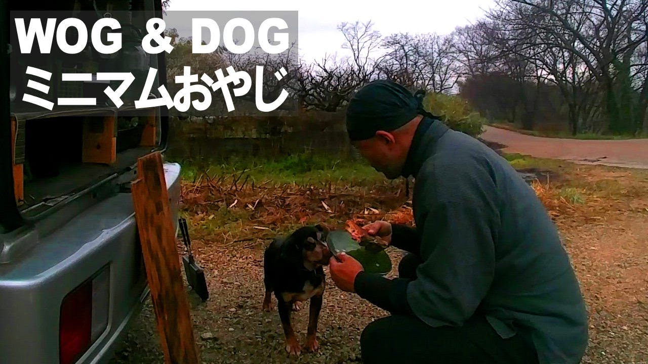 #23 Minimum travel of Japanese WOG and Samurai DOG ! - La Vie Zine