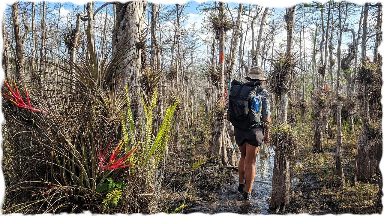 Entering the Swamp, Our Final Section! - Florida Trail Thru Hike ep3 ...