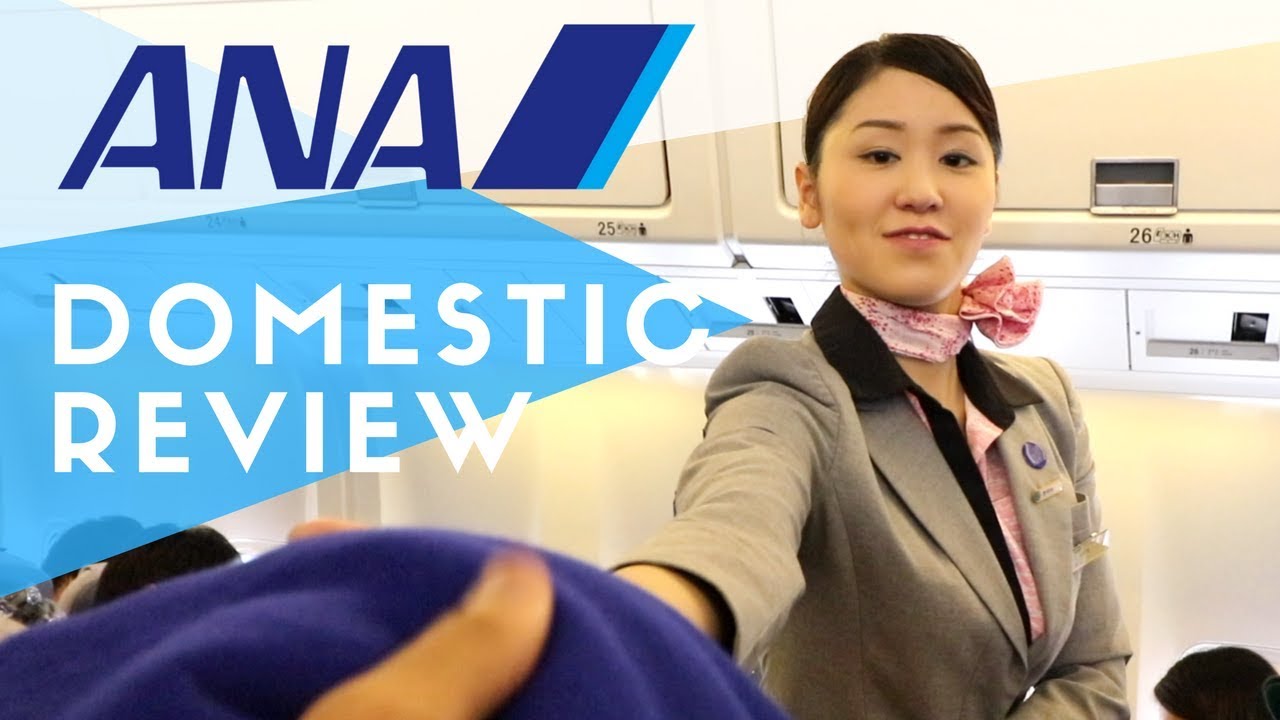 ANA Domestic Flight Review to Tokyo | How Good is it? - La Vie Zine