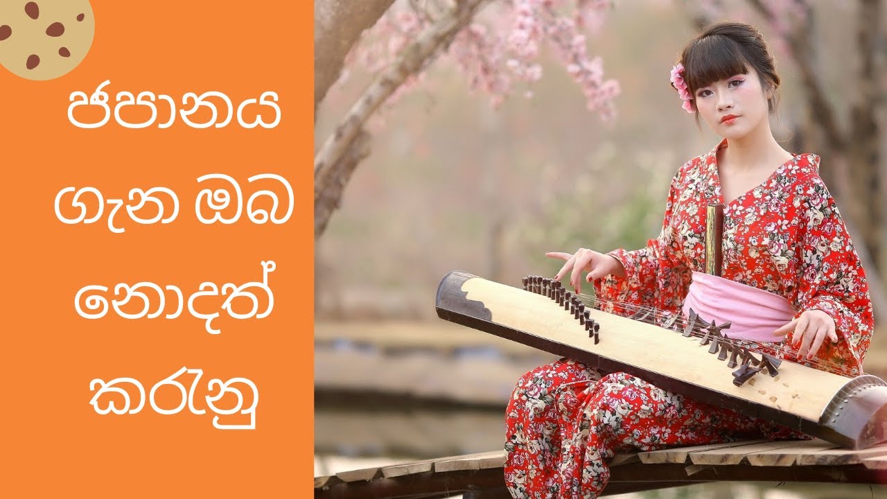 Intoduction to japan in sinhala (travel in japan) - La Vie Zine