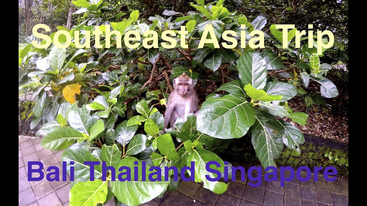 Southeast Asia Trip【GoPro】東南アジア一人旅 - La Vie Zine