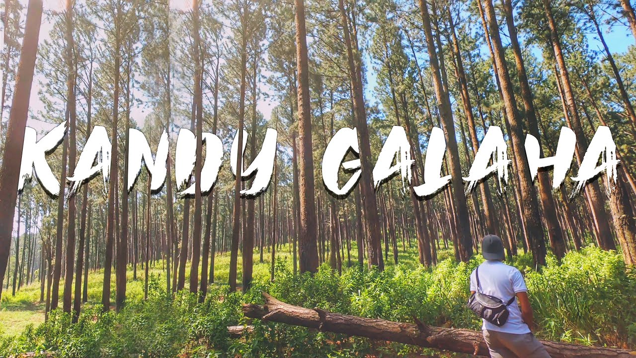 Kandy-Galaha cinematic travel vlog : Sri Lanka : look what we found ...