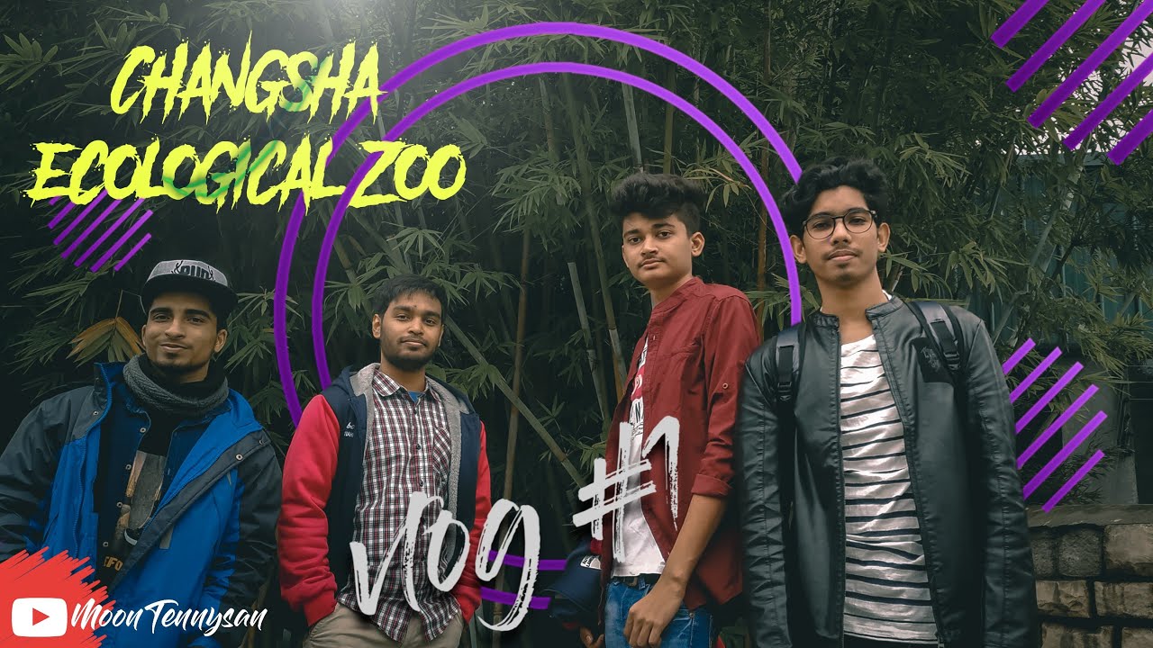Most Beautiful Zoo in China | Changsha Ecological Zoo | China Vlog- 1 ...