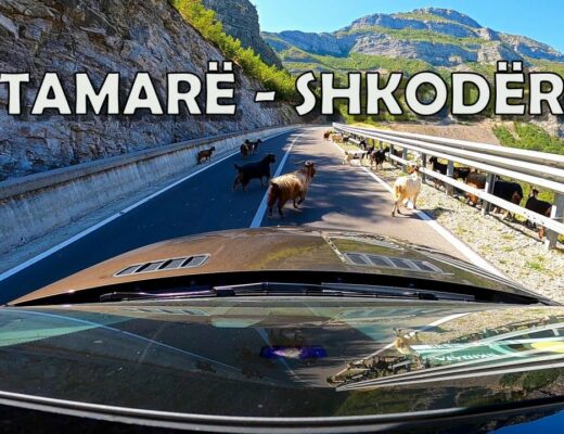 The Best Places for Real Nanjing Cuisine - La Vie Zine