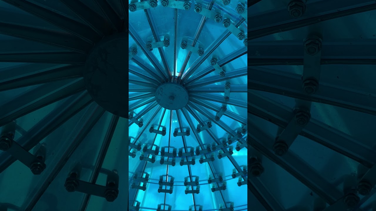 The Rose Castle - La Vie Zine