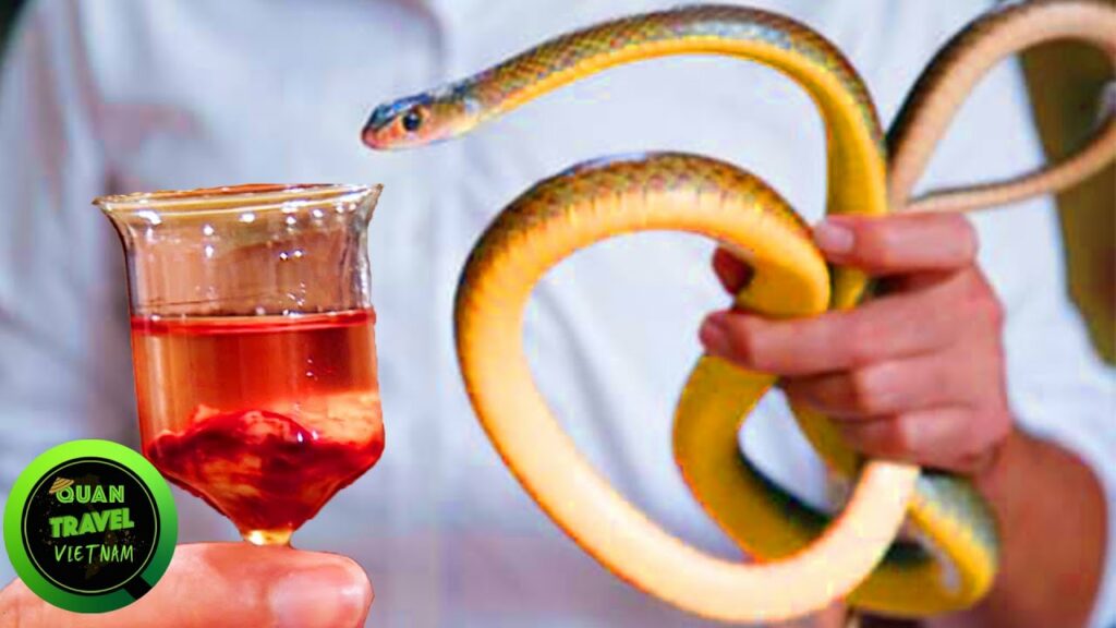 Eating Still Beating Snake's Heart in Vietnam | Exotic Vietnamese Food ...