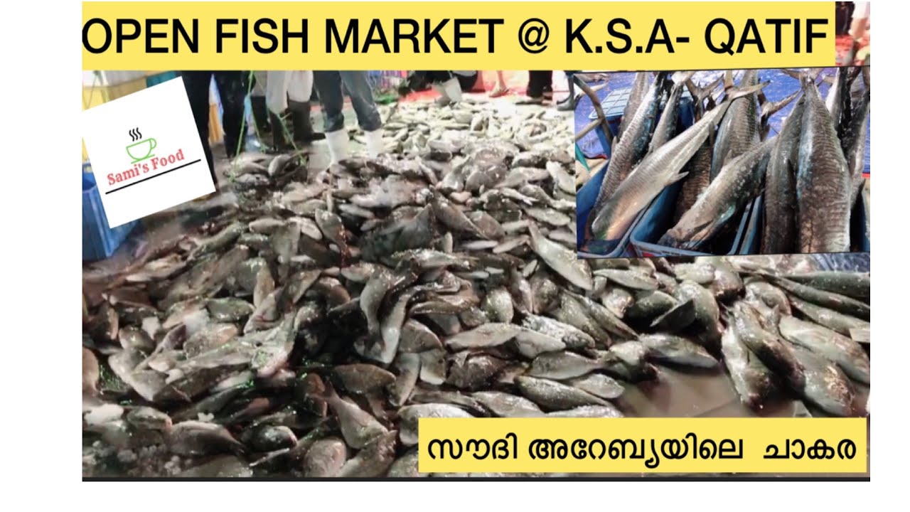 FISH MARKET|| QATIF FISH MARKET || OPEN FISH MARKET SAUDI ARABIA - La ...