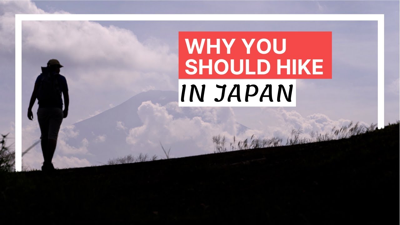 The BEST HIKES in JAPAN'S NATURE (Easy Day Trips from Tokyo) - La Vie Zine
