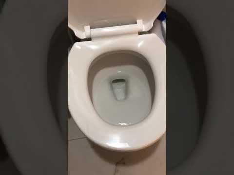 Toilet Logo History (Japan) - La Vie Zine