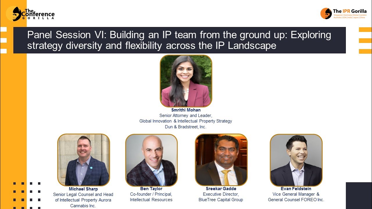 Building an IP team from the ground up: Exploring strategy diversity ...