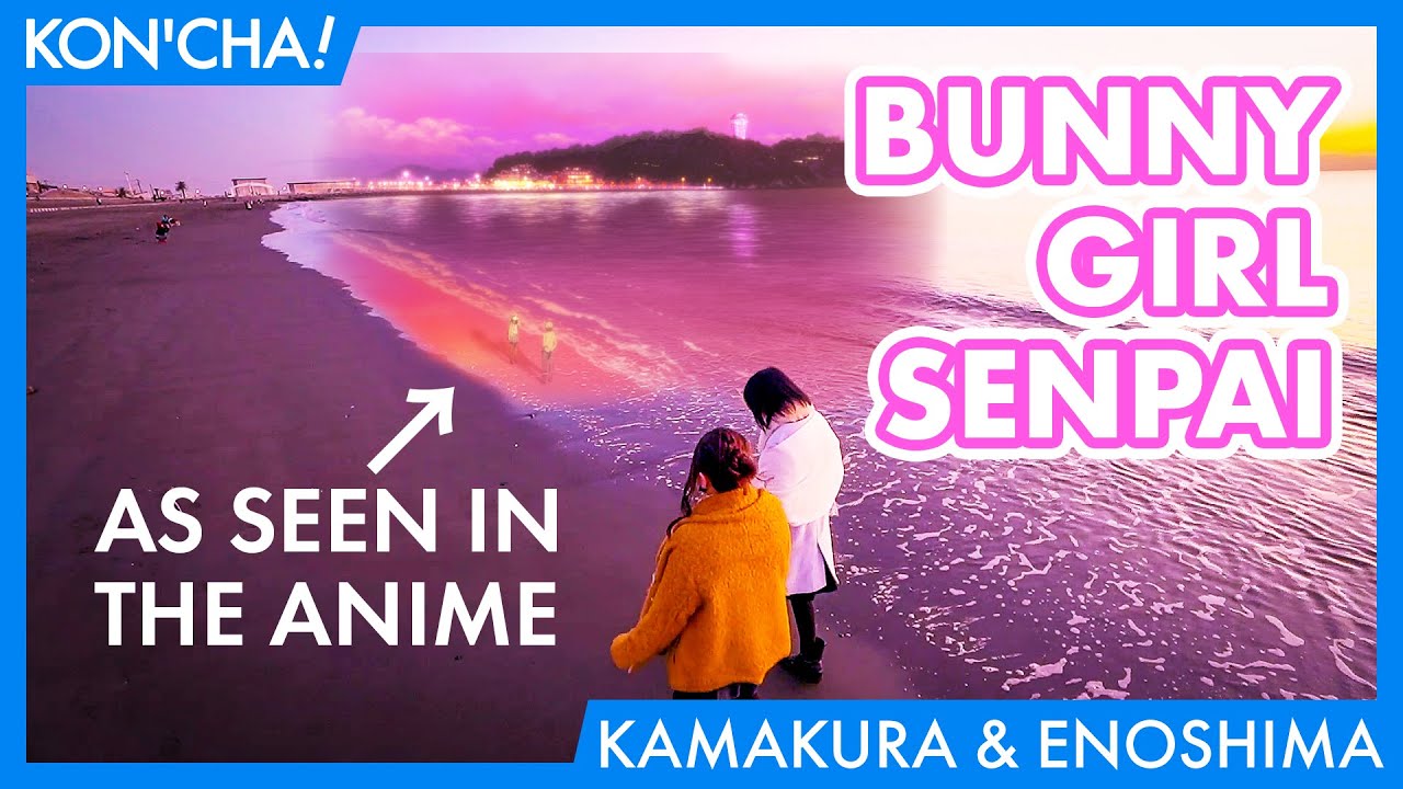 Seishun Buta Yarou (Aobuta) Private Guided Tour in Fujisawa & Enoshima ...