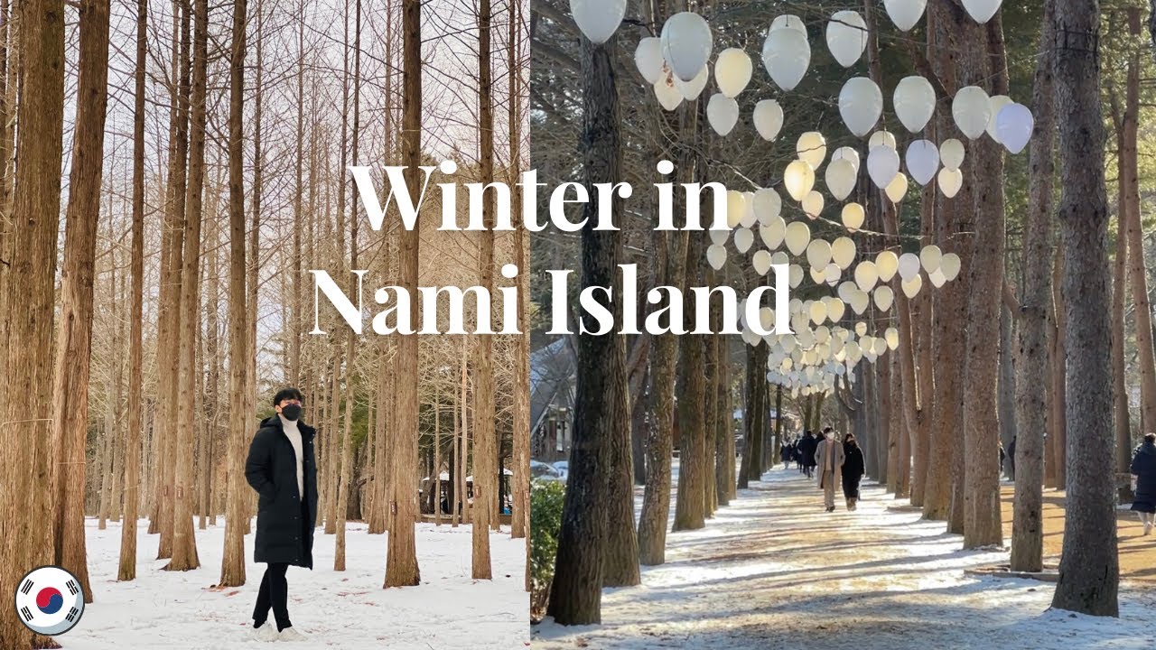 Winter in Nami Island | Winter Sonata Filming Location, Gapyeong Tour ...
