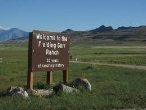 Welcome To Fielding Garr Ranch Utah! No Buffalo At Ranch But Some Beach ...