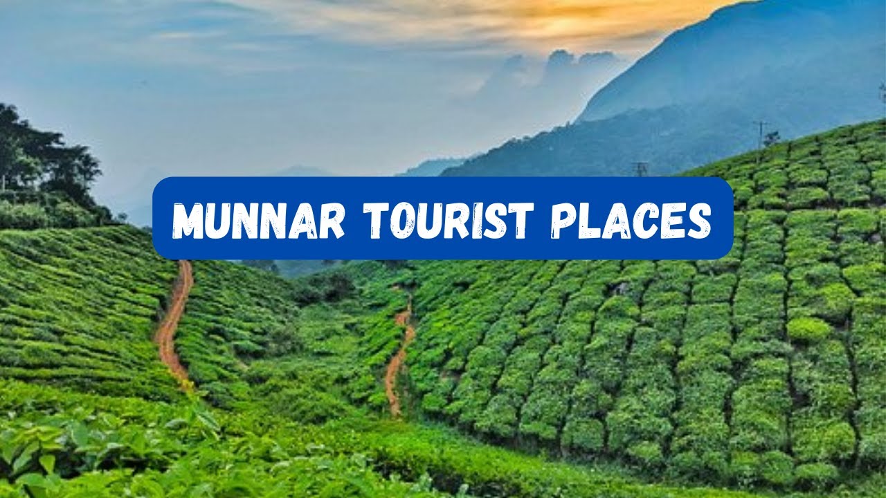 Munnar tourist places I Munnar tour guide, trip plan I Best places to ...