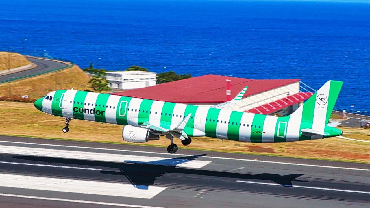 CONDOR GREEEN STRIPES LIVERY Airbus A321 at Madeira Airport - La Vie Zine
