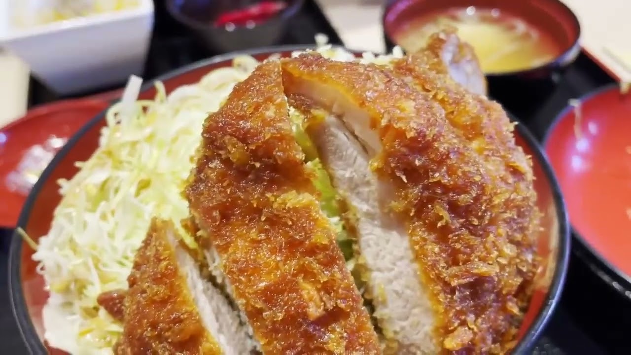 40 Day Trip from TOKYO Exploring NAGANO Japan Shinkansen Street Food ...