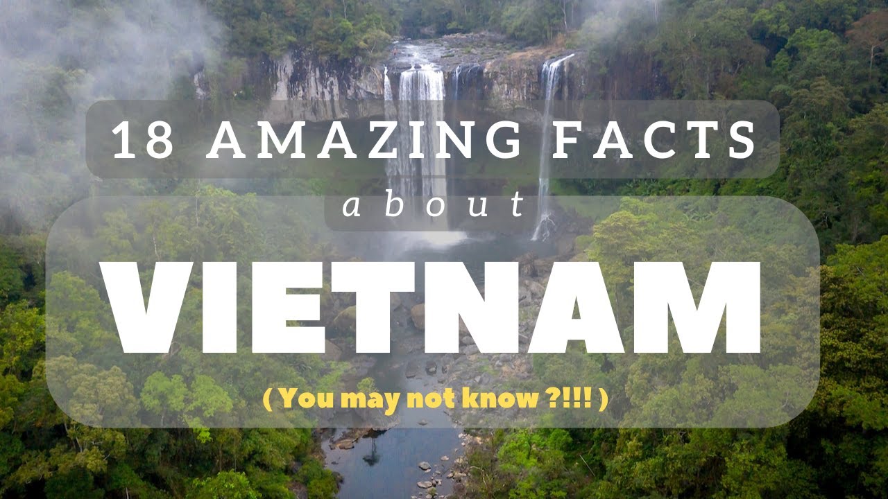 18 AMAZING FACTS ABOUT VIETNAM ( You may not know ) - La Vie Zine