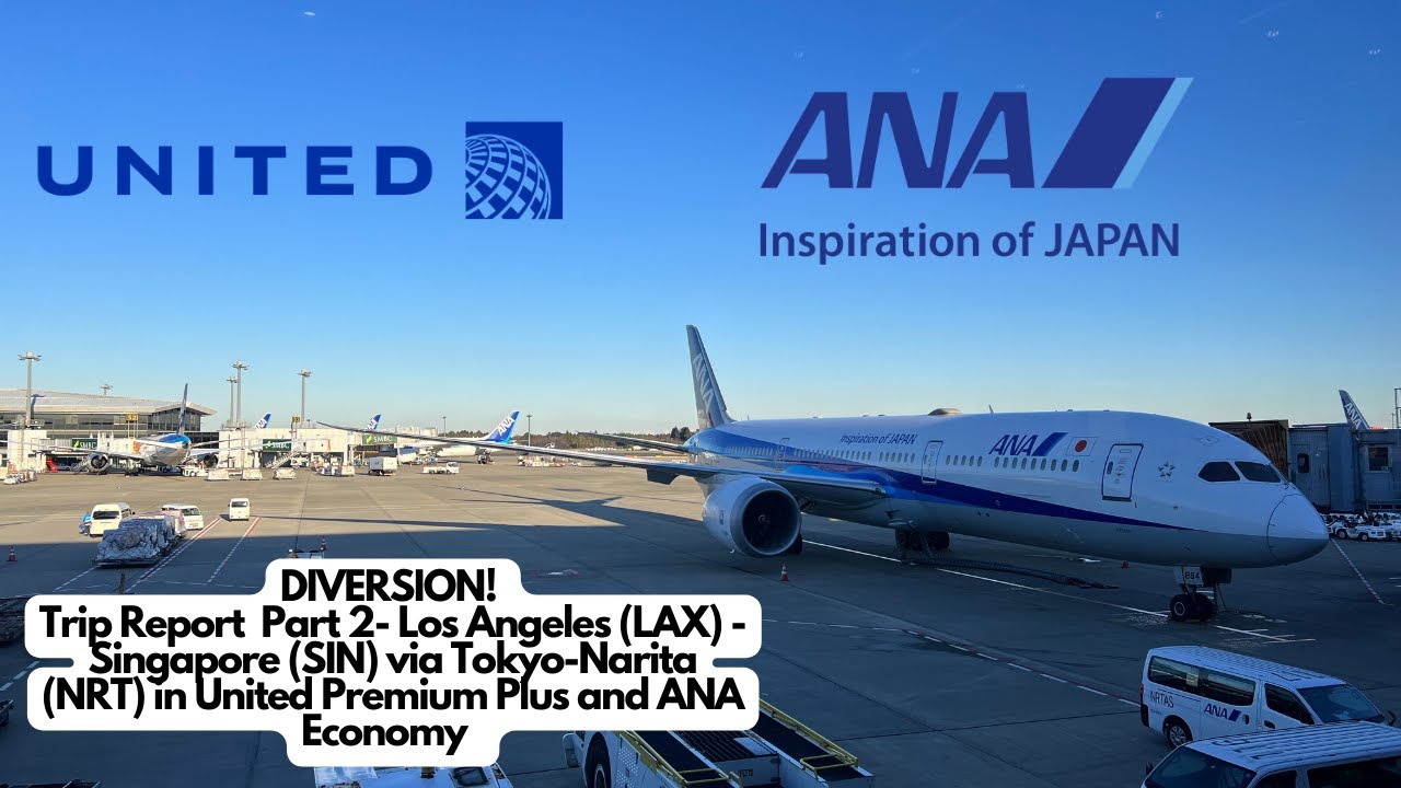 DIVERTED! Trip Report Part 2 | ANA Economy | Los Angeles (LAX ...