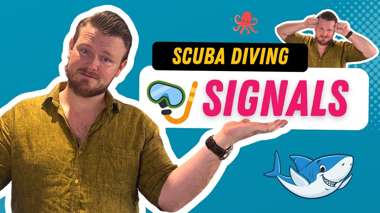 Scuba Diving Hand Signals 101 | Your Comprehensive Guide from Big Ocean ...