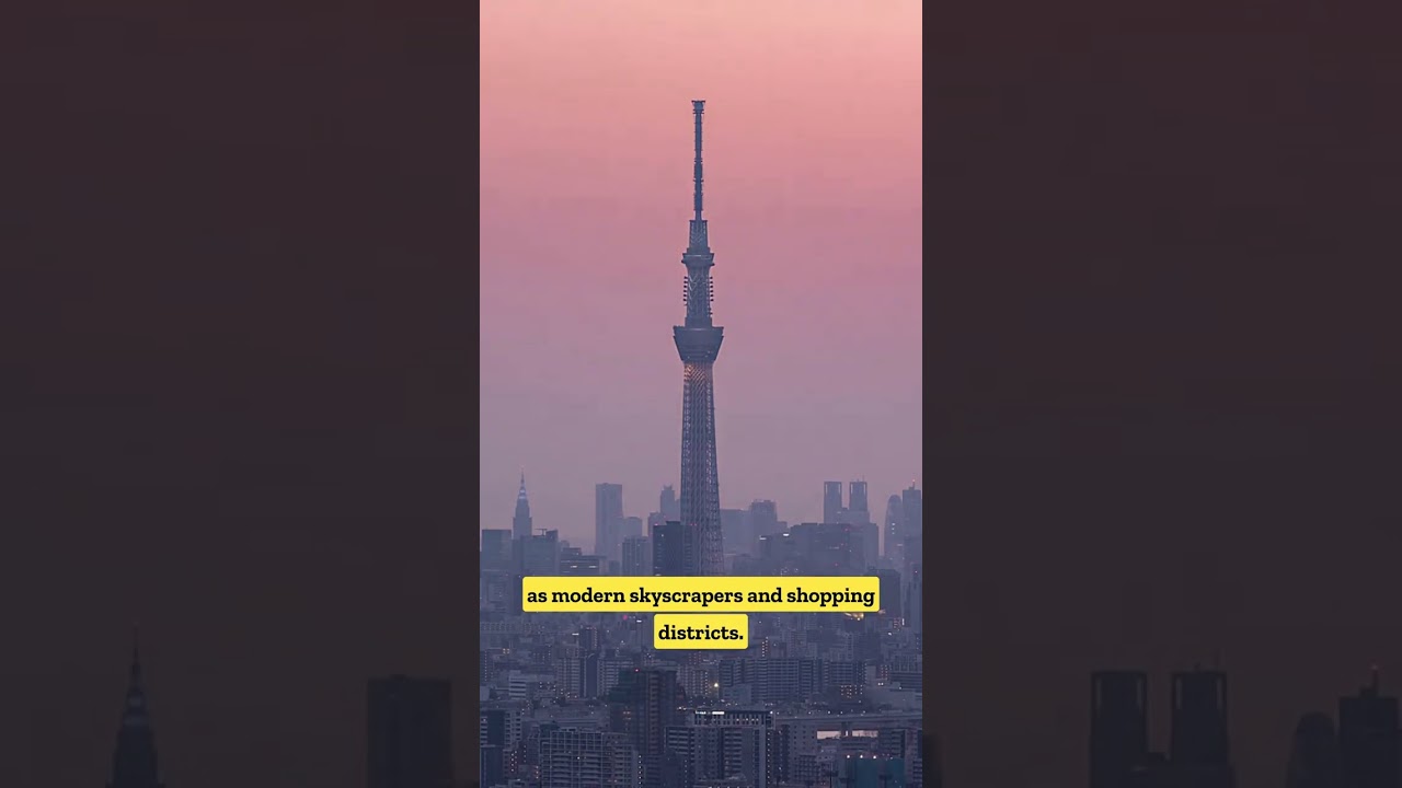 FACTS ABOUT TOKYO - VISIT TOKYO TODAY - La Vie Zine