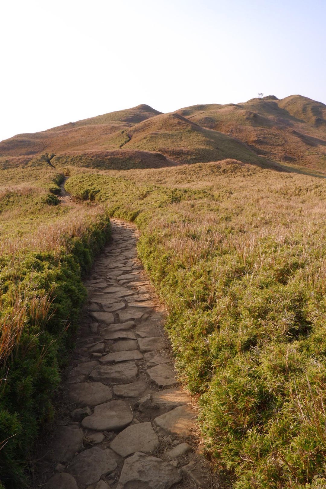 Mount Pulag, Philippines - La Vie Zine