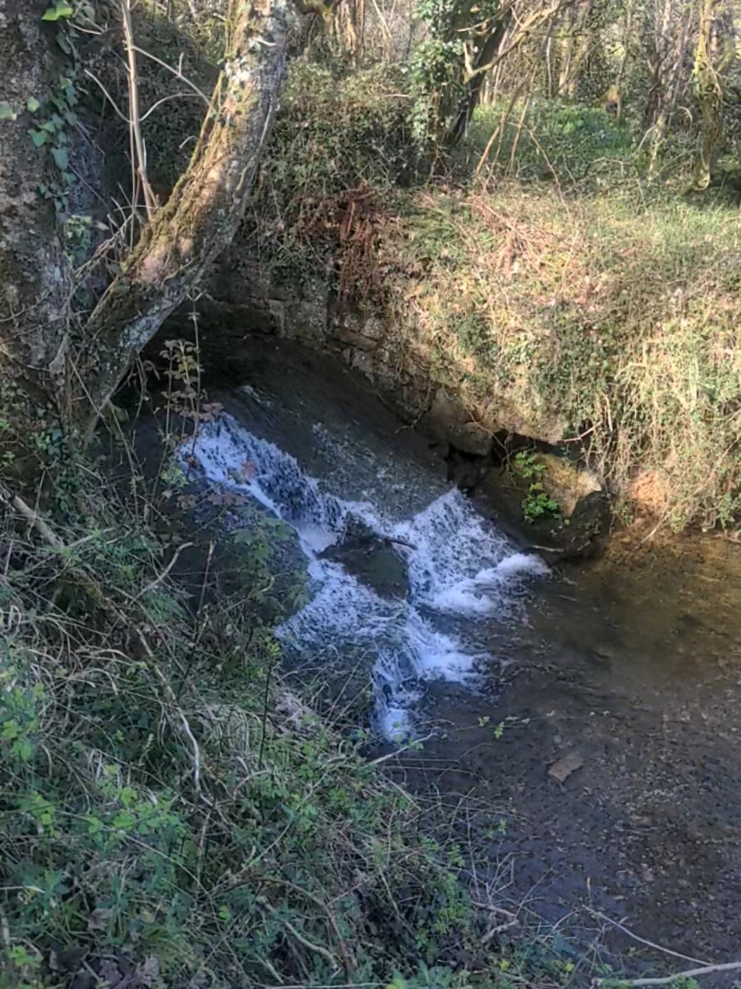 10 seconds of a Cornish river flowing through an old railway bridge ...