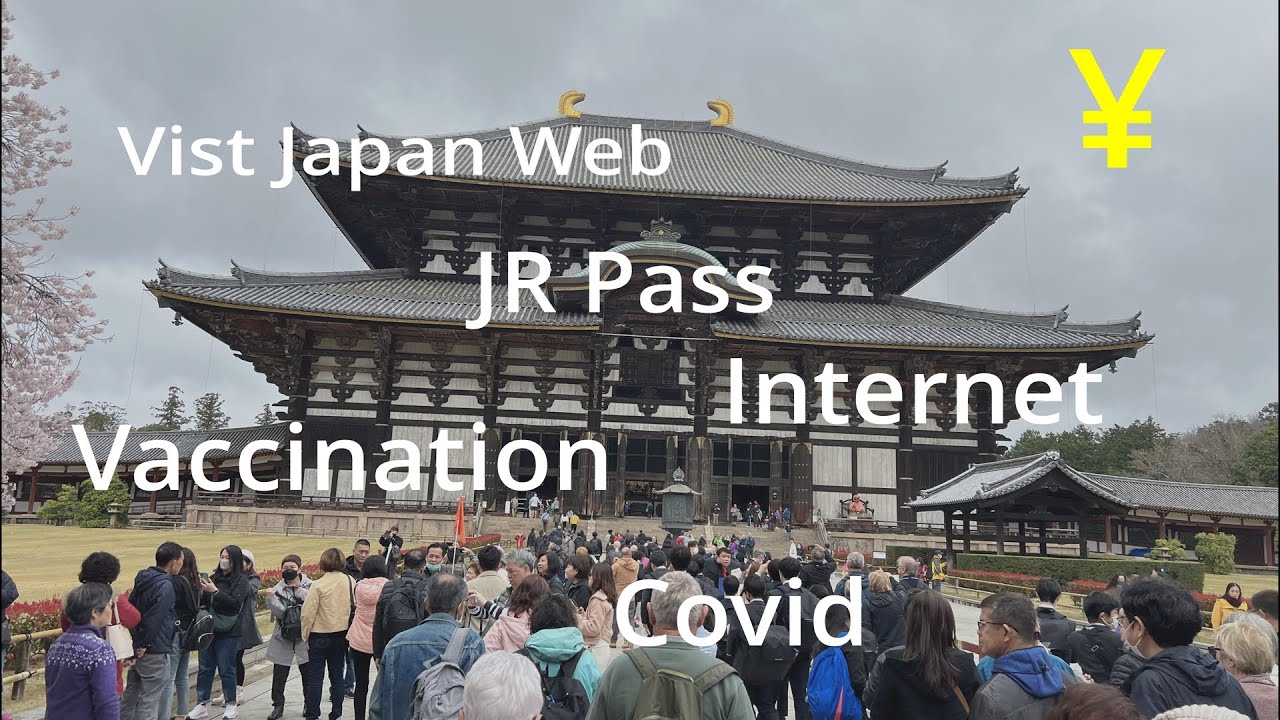 Japan Travel Guide - What you must know - La Vie Zine