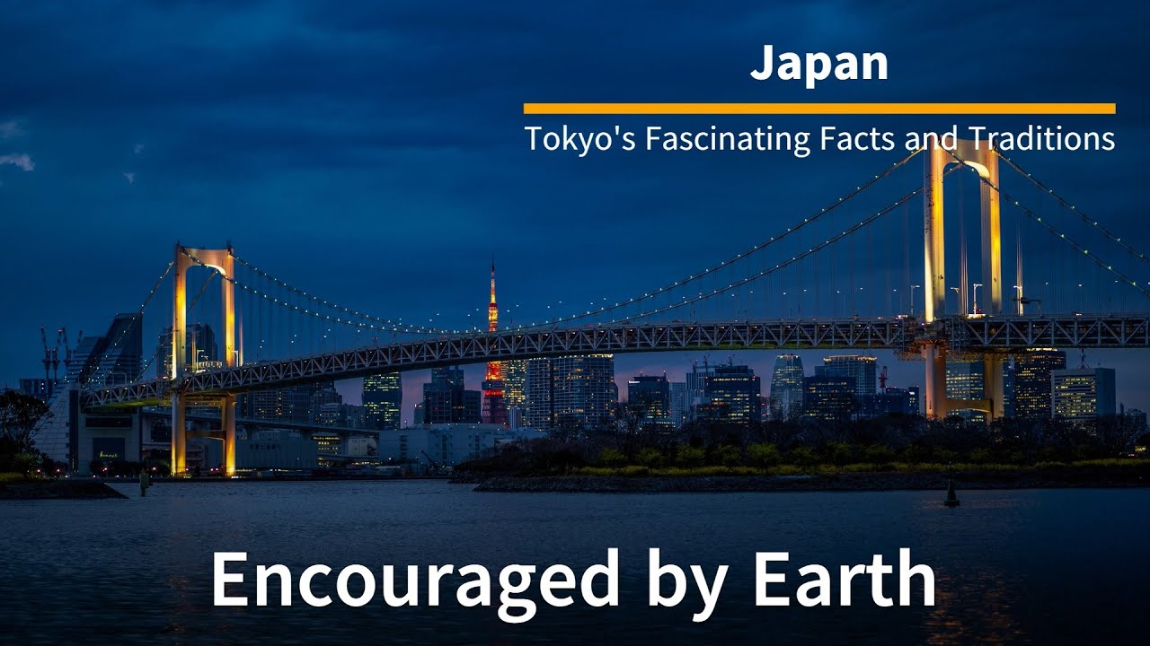 Tokyo's Fascinating Facts and Traditions - La Vie Zine