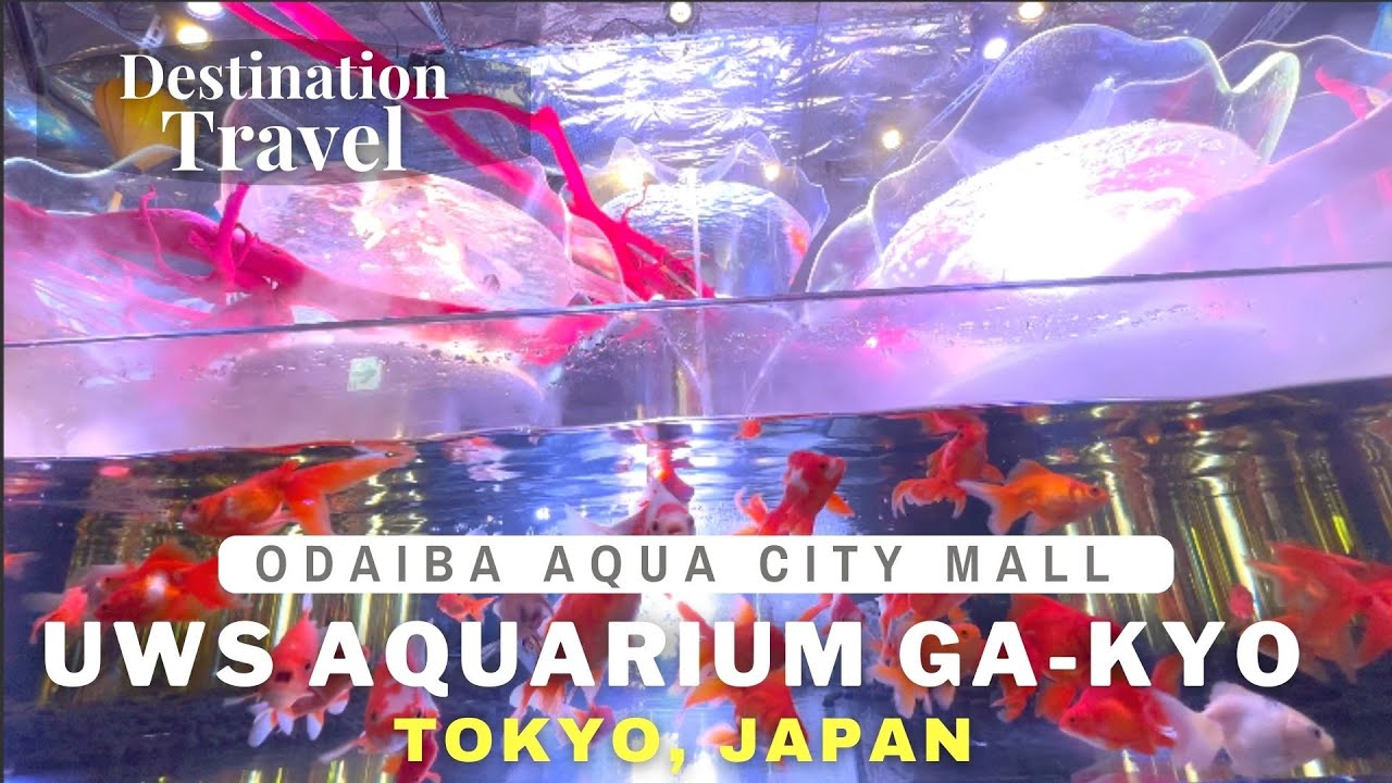 Must Visit Japanese Modern Art Aquarium | Odaiba, Tokyo | Japan Luxury Travel - La Vie Zine
