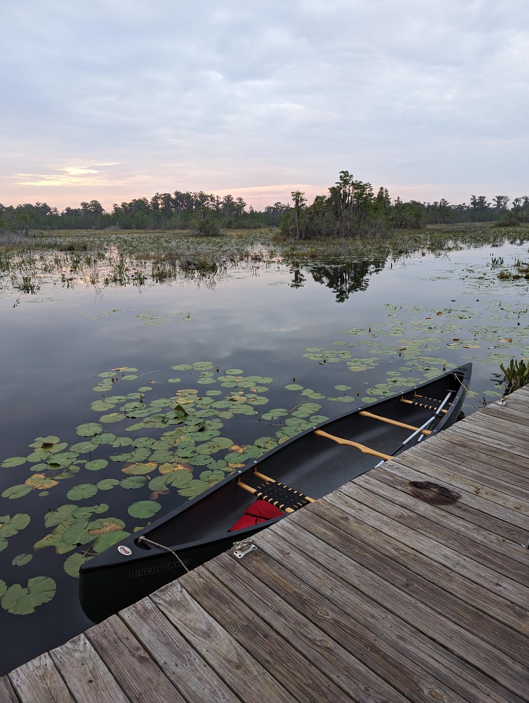 Okefenokee Swamp Platform Camping - La Vie Zine