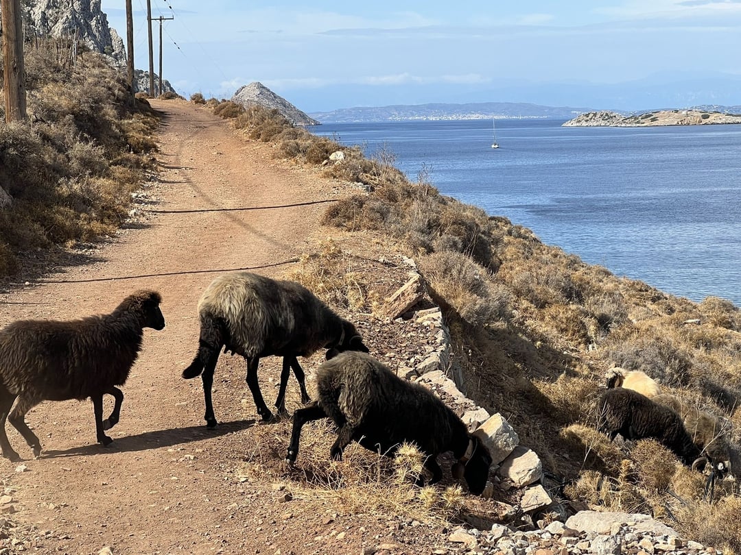 Mount Eros Loop Trail, Hydra Isl. Very beautiful route on the island of ...
