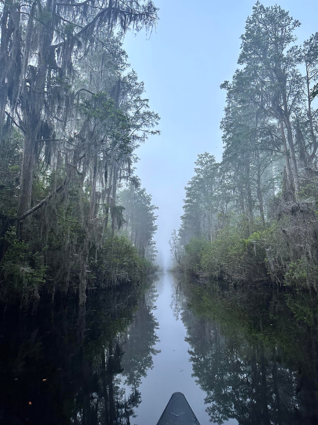 Okefenokee Swamp Platform Camping - La Vie Zine