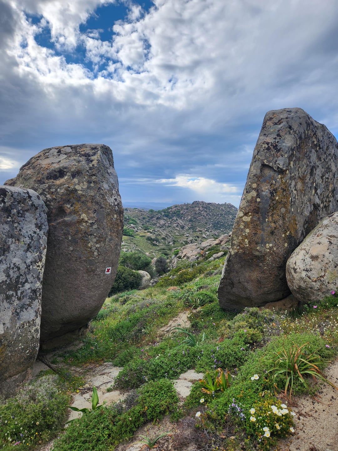 Greece Spring 2023 - Cyclades Island Hopping + Athens - La Vie Zine