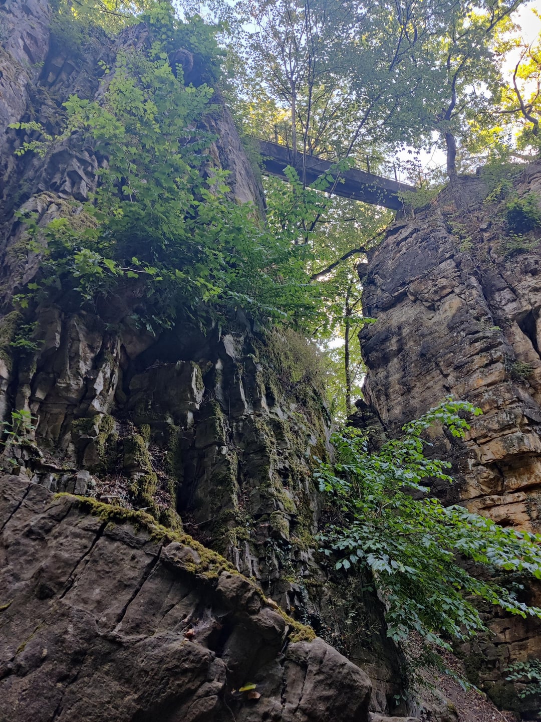 Gorges du Loup, Echternach, Luxembourg - La Vie Zine