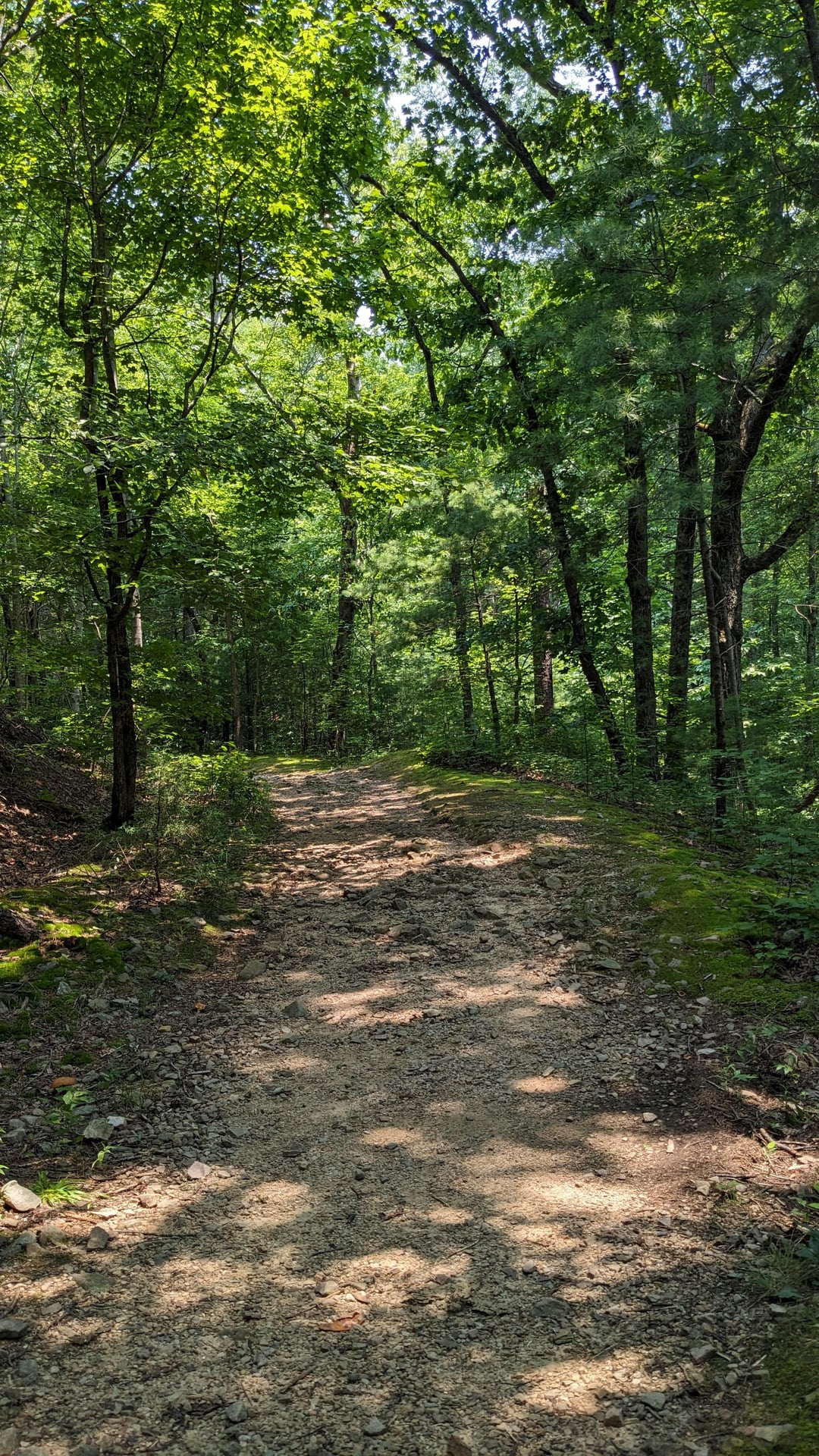 Gee Creek trail in the Hiwassee/Ocoee Rivers State Park TN. - La Vie Zine