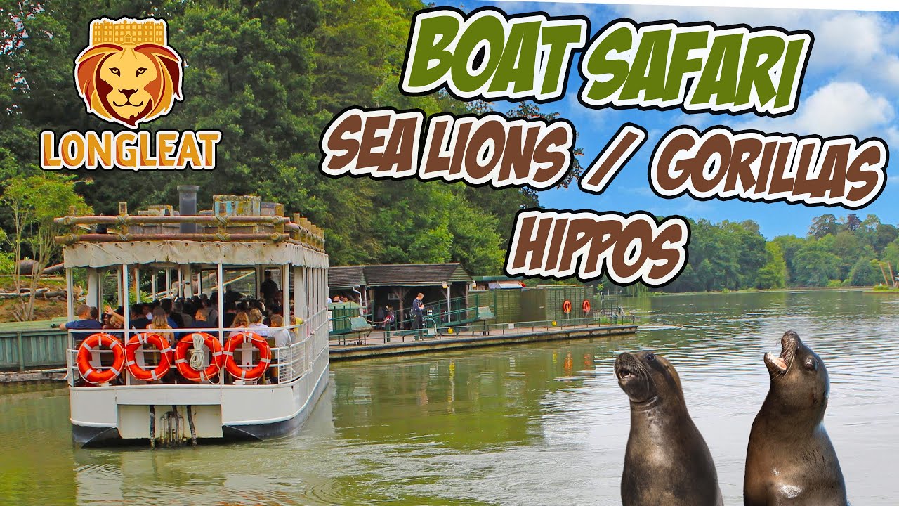 Boat Safari at Longleat | Sea Lions, Gorillas and Hippos (August 2023 ...