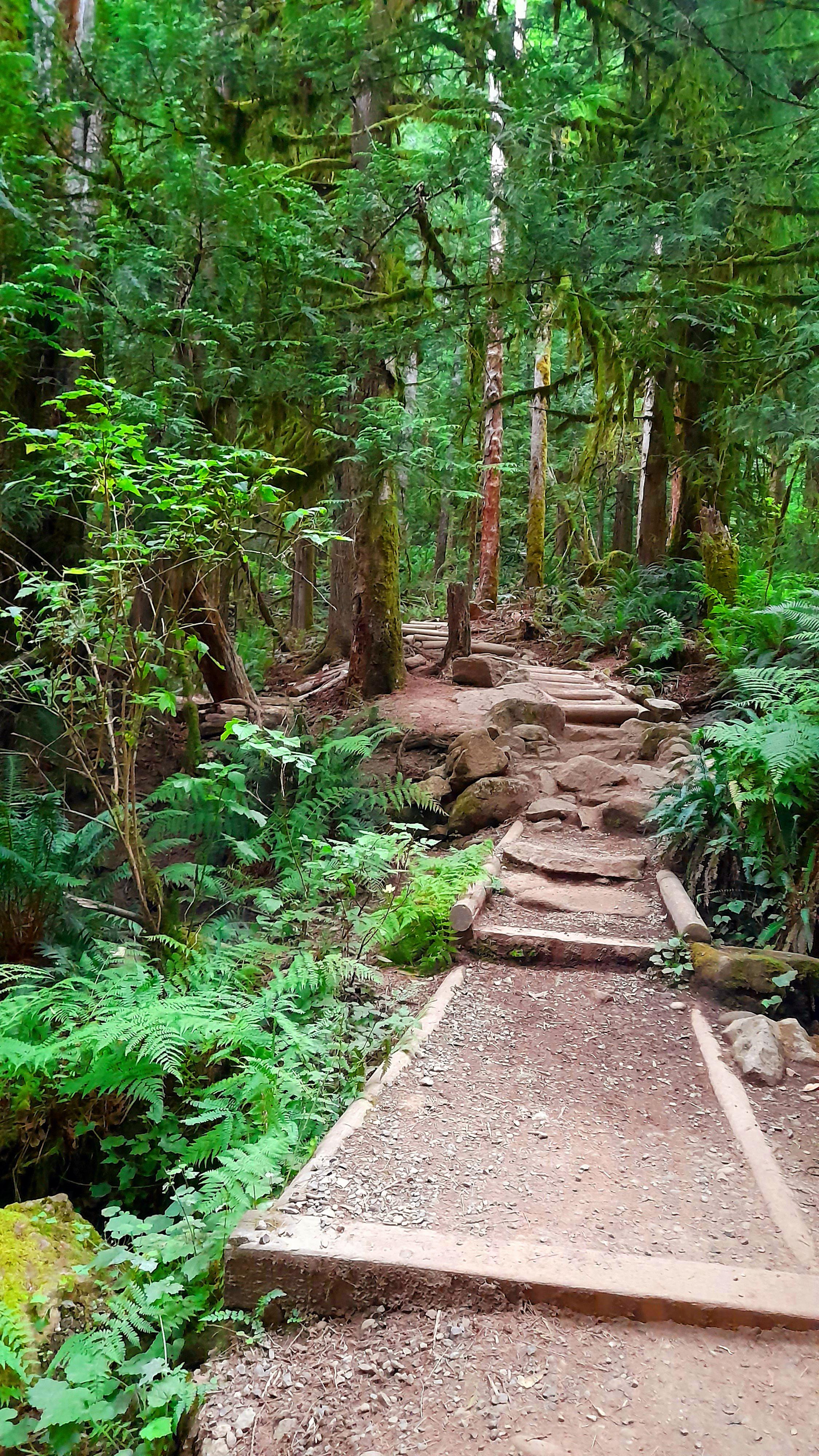 Heybrook Lookout Trailhead - La Vie Zine