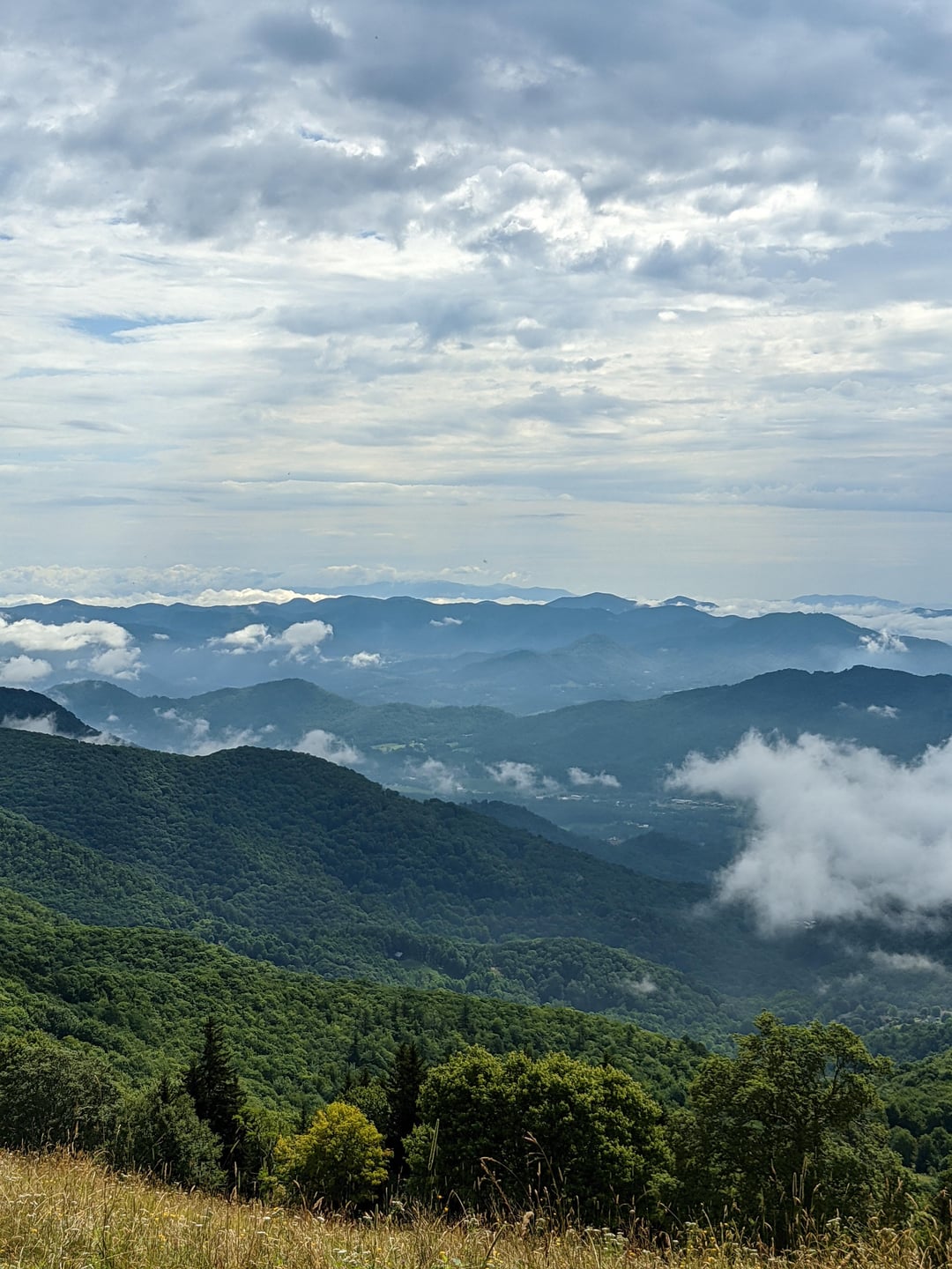 Hemphill Bald and the Cataloochee Divide, Great Smoky Mountains ...